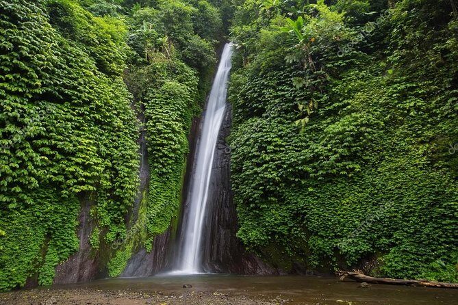 Exploring Munduk Village (Waterfalls, rice terrace, Traditional local house) - A Deep Dive into the Munduk Village Tour