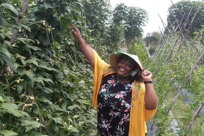 Exploring organic farm & Vietnamese Culinary with Master chef - The Value of Experience: What You Get for $80