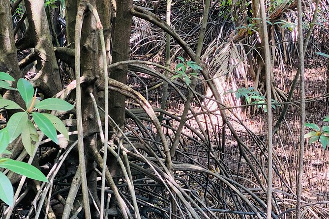 Exploring Singapores Forgotten Hills - Authentic Reviews and What They Say