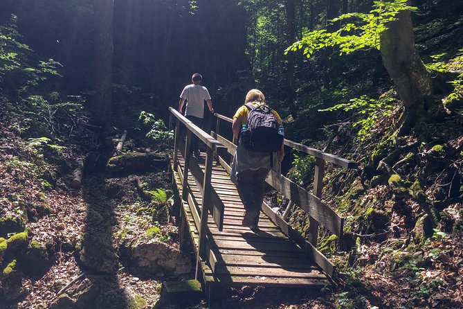 Exploring the Gutenstein Alps - Authentic Experiences and What Travelers Say