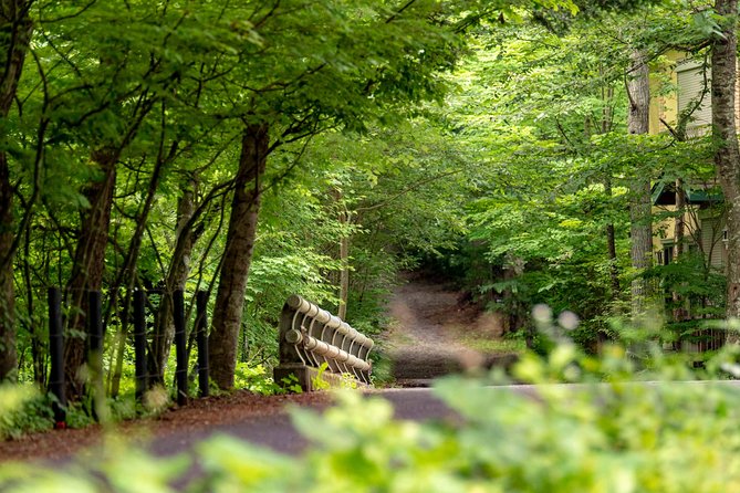 ~Exploring the Nature and Sightseeing Spots of Karuizawa~ Forest Bathing Cycling - Biking Through the Charming Town of Karuizawa