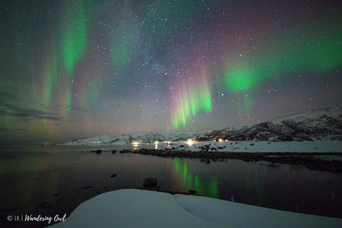 Express Aurora Hunt From Tromsø - Key Points