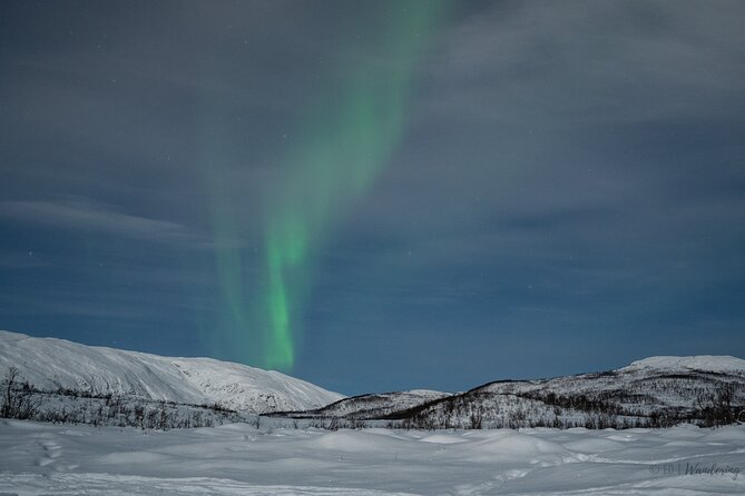 Express Aurora Hunt From Tromsø - Customer Reviews and Feedback