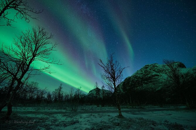 Express Aurora Hunt From Tromsø - Tips for a Successful Aurora Viewing Experience