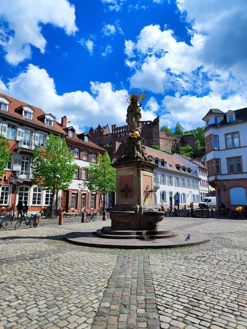 EXPRESS TOUR of Historic Heidelberg - The Highlights in 1 h - Who Should Consider This Tour?