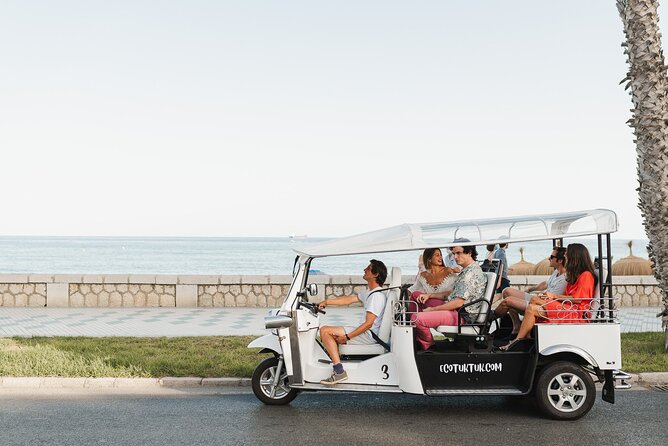 Express Tour of Malaga in Private Eco Tuk Tuk - Age Restrictions and Tour Modifications