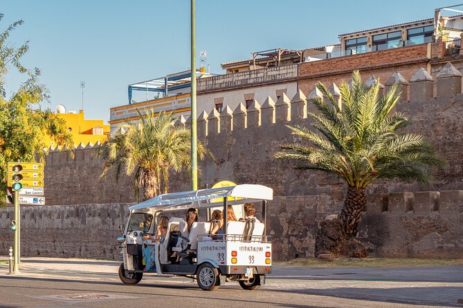 Express Tour of Seville in Private Eco Tuk Tuk - Booking and Prices Explained