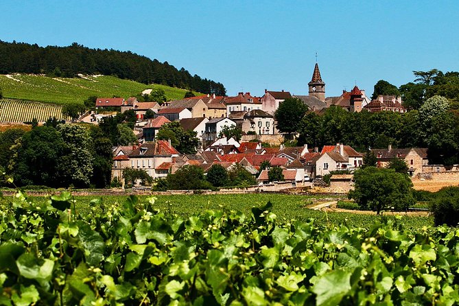 Exquisite Wines Tasting Chateau Pommard, Chablis Small-Group Trip - Who Will Love This Tour?