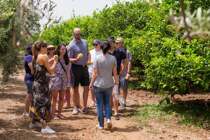 Extra Virgin Olive Oil Tasting in Syracuse - Fairytale Tour - Frequently Asked Questions