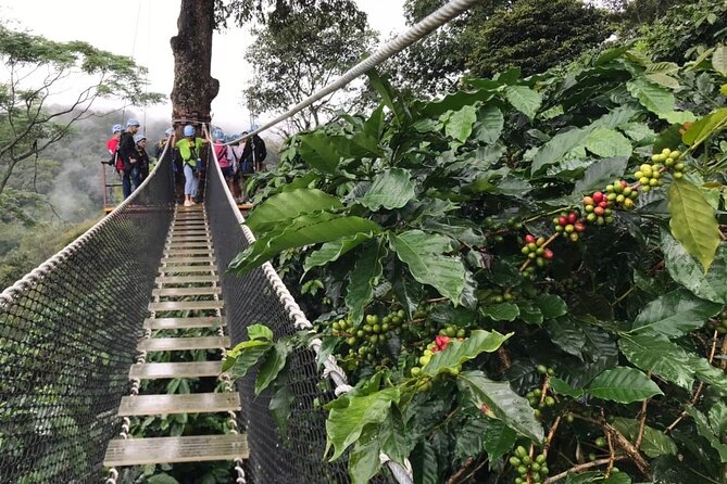 Extream Zipline @ Kingkong Smile and Dip in Hot Spring - The Sum Up: Who Should Book This?