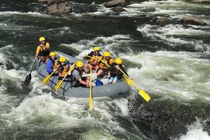 Extreme Class V Whitewater Rafting on the Gauley River WV (Fall Only) - Price and Value