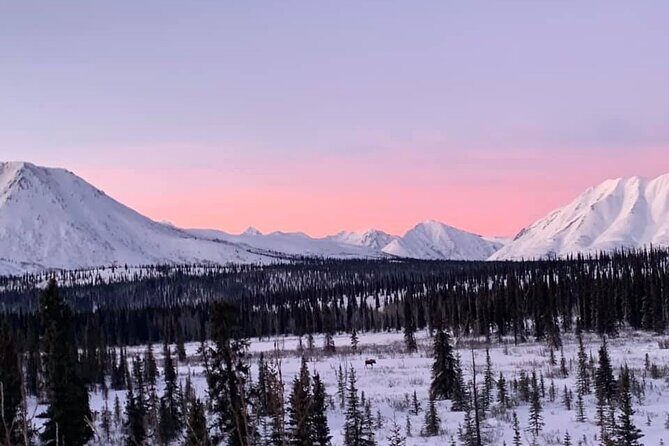 Extreme Cold Clothing Pkg - (Parka Snowpant Bibs Boots) No Tour - An Honest Look at the Fairbanks Cold Weather Gear Rental