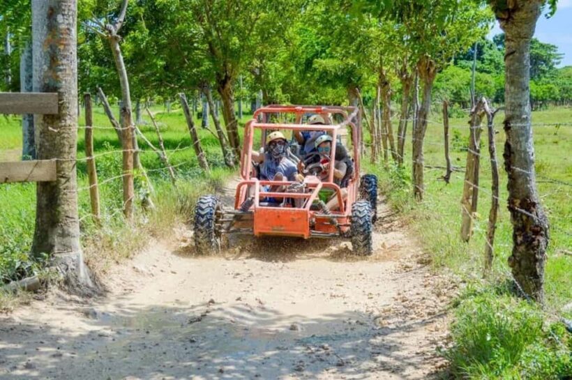 Extreme Dune Buggy Adventure in Macao Beach & Cenote - Transportation and Logistics: Why They Matter