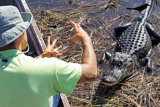 Extreme Everglades: Crocodiles and Adventure from Miami - The Sum Up