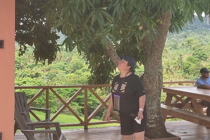 Extreme Zip line Aventure in Punta Cana - Transportation and Logistics