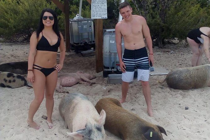 Exuma Day Away - Original Swimming Pigs Excursion - The Sum Up: Is This Tour for You?