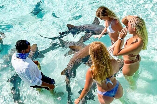 Exuma Full Day Swimming Pigs Group Boat Tour - Introduction: A Day of Iconic Encounters