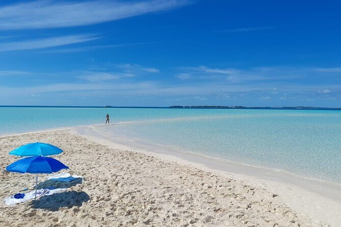 Exuma Island Hopping Swimming Pigs Tour with Lunch from Nassau - Who Should Consider This Tour?