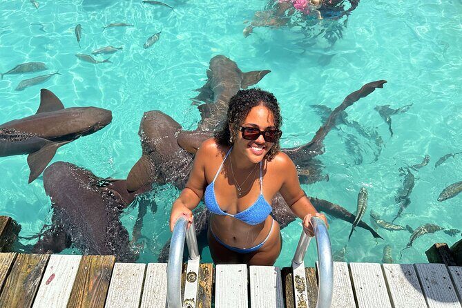 Exuma Powerboat Tour from Nassau with Swimming Pigs - Key Points