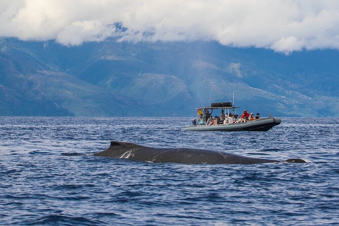 Eye-Level Whale Watching Eco-Raft Tour from Lahaina - Practical Considerations