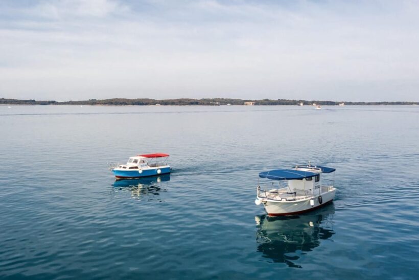 Faana: Sail like a president with Brijuni Panorama - The Sum Up