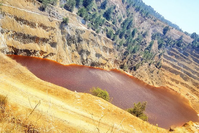 FAB Private Customized Tours Cyprus From Larnaca City - Taking in Cypriot Flavors and Culture