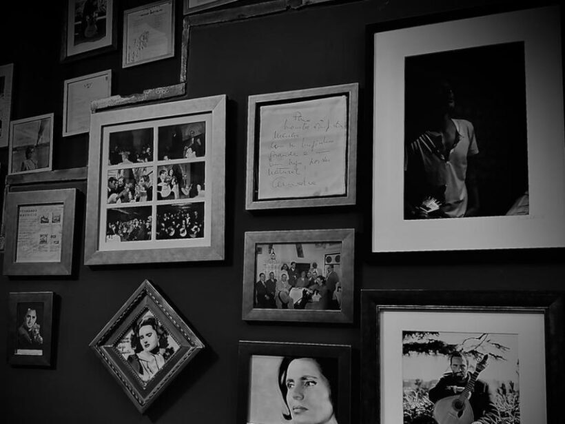 Fado Experience in Ribeira by Aniki - Who Will Enjoy This Tour?
