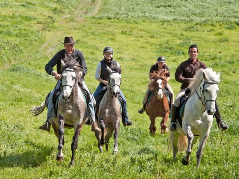 Faial Island: Horseback Riding (3 hrs - Experienced Riders) - What Previous Participants Say