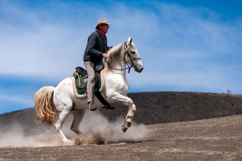 Faial Island: Horseback Riding (3 hrs - Experienced Riders) - Who Will Love This Experience?