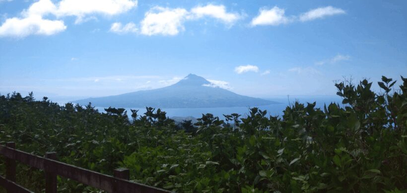 Faial Island: Personalized tour with Pic Nic - The Sum Up