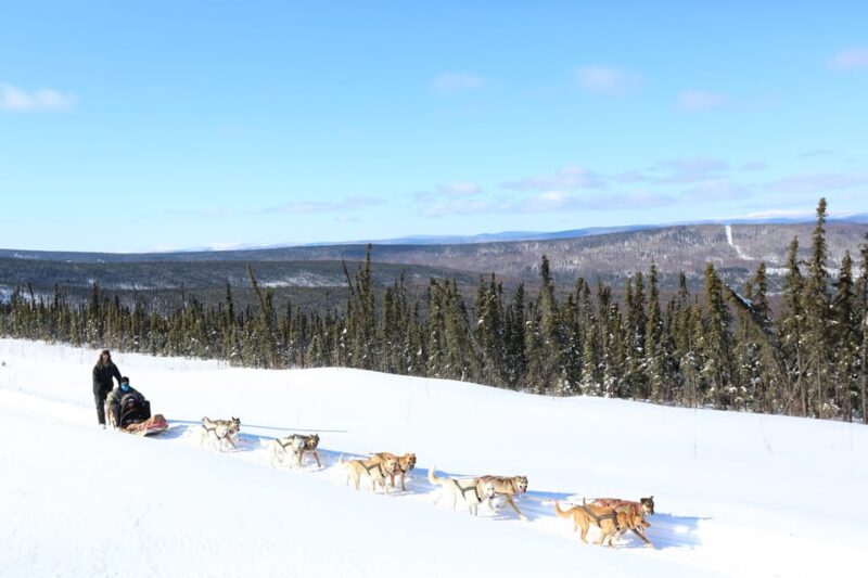 Fairbanks: 1-Hour Alaskan Winter Dog Sledding Adventure - Frequently Asked Questions