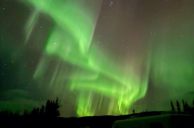Fairbanks Alaska Luxury Car Private Tour - Why Choose This Tour?