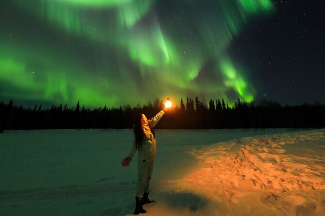 Fairbanks Aurora Borealis Night Tour - Who Will Enjoy This Tour?