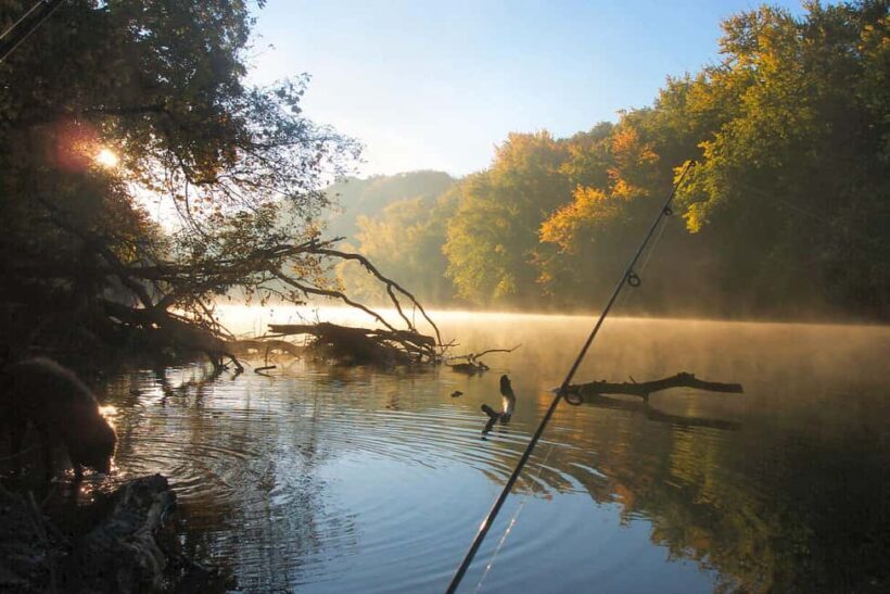 Fairbanks: Half-Day Fishing Trip with Hotel Pickup - Key Points