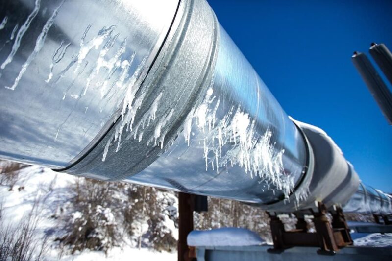 Fairbanks Heritage Sightseeing Tour - Who Will Love This Tour