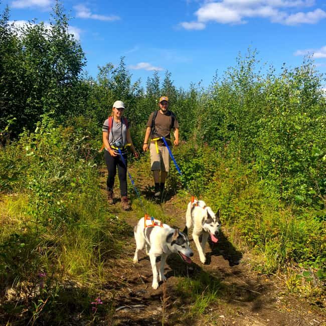 Fairbanks: Husky Hiking Tour - FAQ