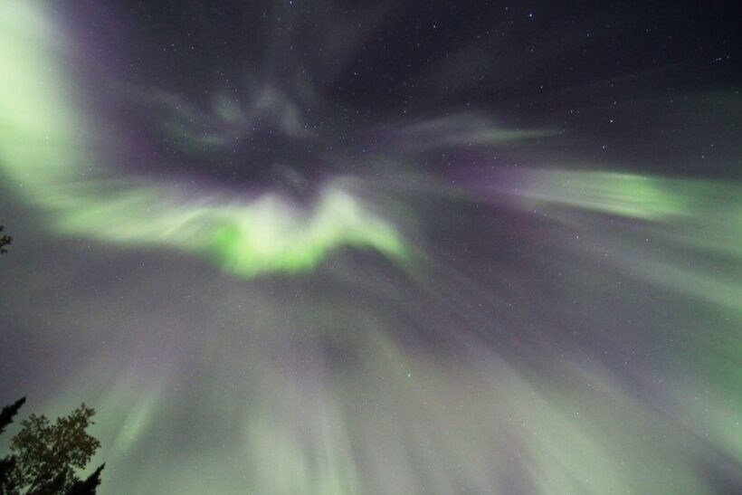 Fairbanks: Moonlight Dog Sled, Dinner & Northern Lights - Who Will Love This Tour?