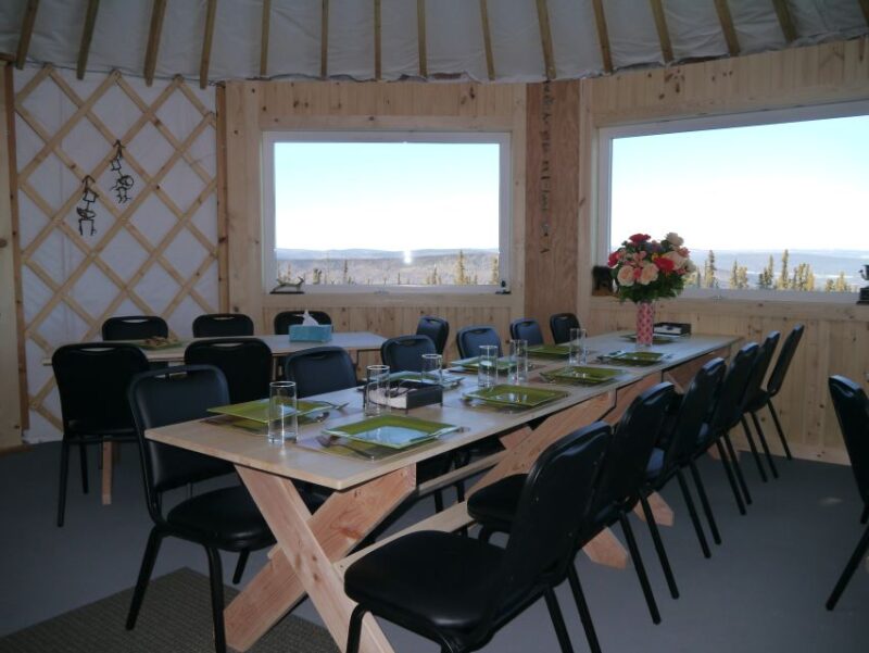 Fairbanks: Moonlight Dog Sled, Dinner & Northern Lights - Authentic Feedback from Travelers