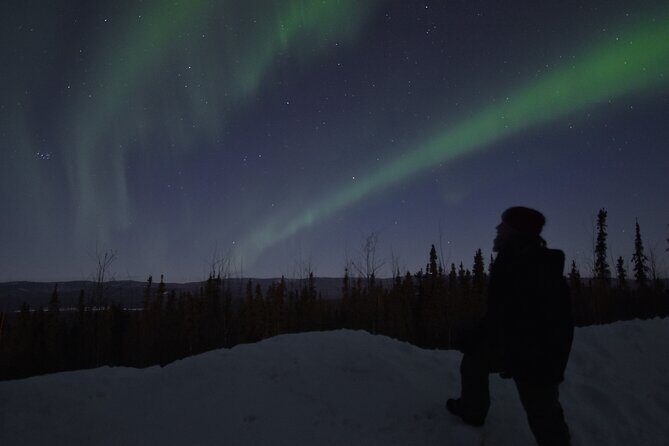 Fairbanks Northern Lights Adventure with free Aurora portraits - Who Should Book This Tour?