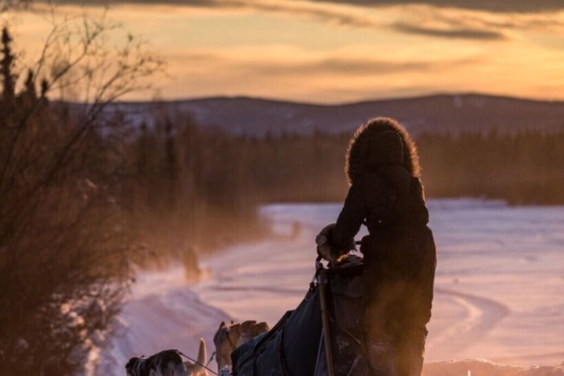 Fairbanks: Private Mush on the Historic Yukon Quest Trail - The Experience’s Value and Unique Features