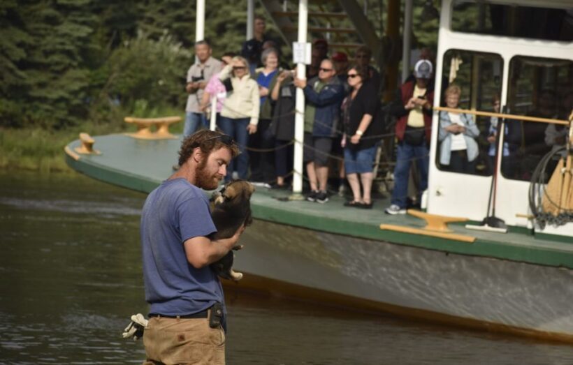 Fairbanks: Riverboat Cruise and Local Village Tour - Who Should Consider This Tour?