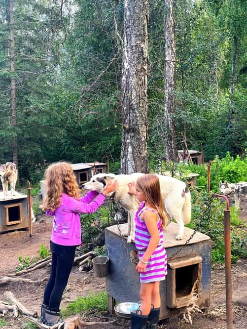 Fairbanks: Siberian Husky Kennel Tour - Key Points
