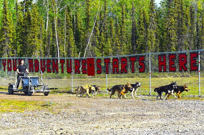 Fairbanks Sled Dog Adventure with Campfire & S'mores - The Sum Up: Who Will Love This Tour?