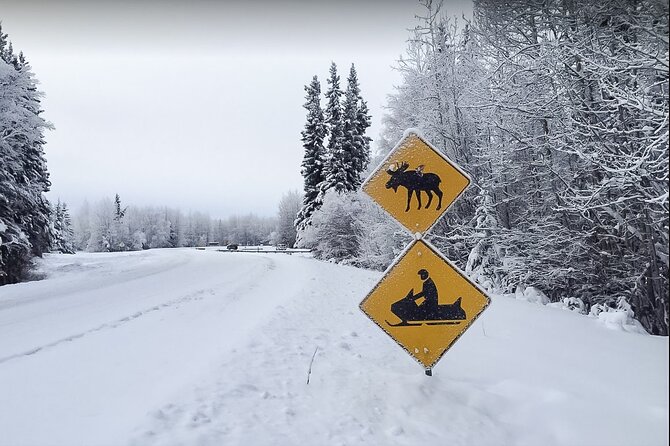 Fairbanks Snowmobile Adventure from North Pole - Key Points