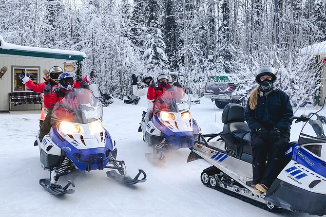 Fairbanks Snowmobile Adventure from North Pole - The Sum Up