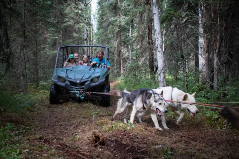 Fairbanks: Summer Mushing Cart Ride and Kennel Tour - The Itinerary Breakdown
