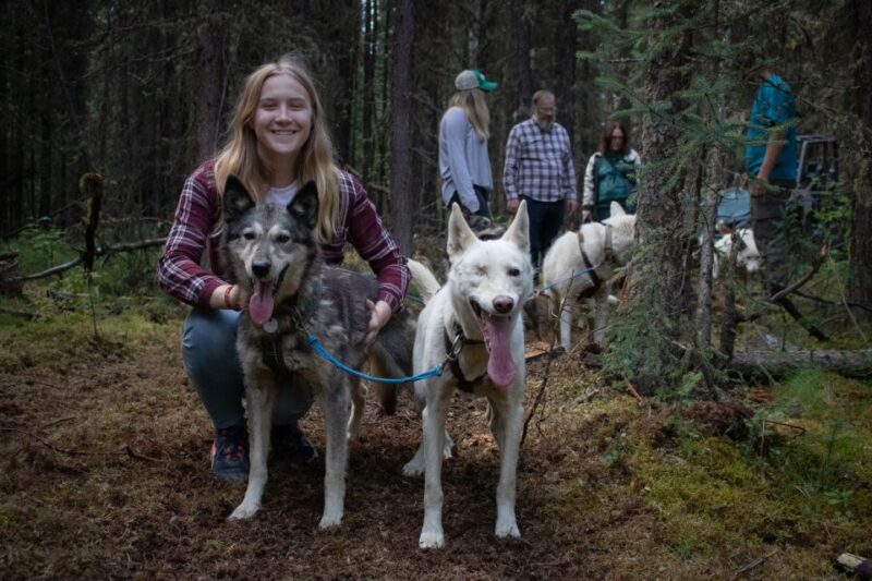 Fairbanks: Summer Mushing Cart Ride and Kennel Tour - FAQ