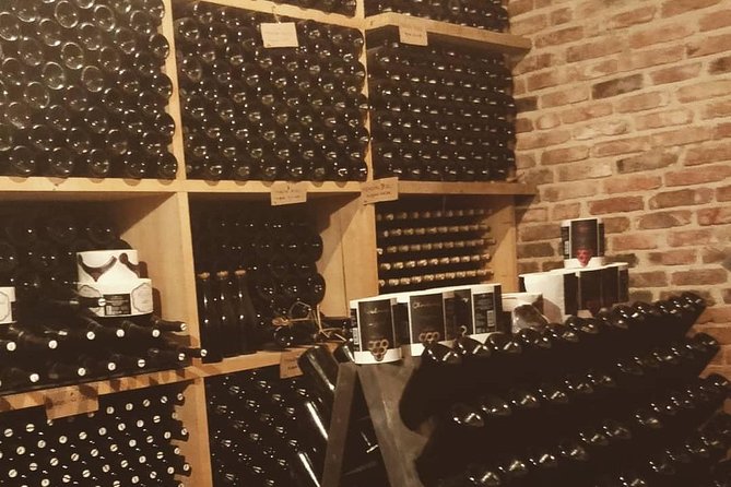 Fairytale Castle & Wine Tasting & Lunch - Tips for Your Fairytale Adventure