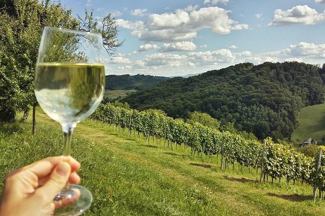 Fairytale Castle & Wine Tasting & Lunch - Since You Asked