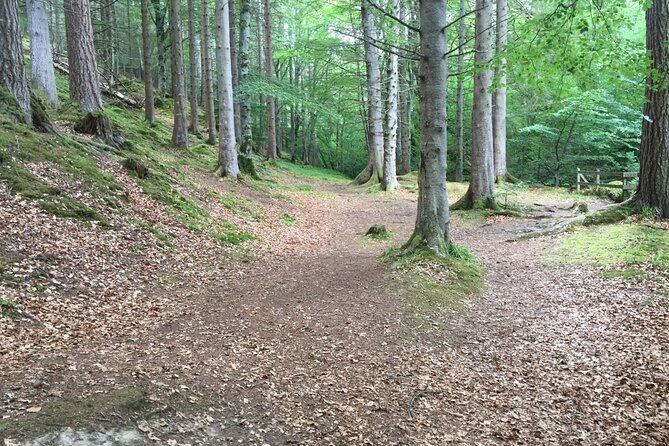 Fairytale Dunrobin Castle, Dornoch Village, Million $ Viewpoint - Tour Overview